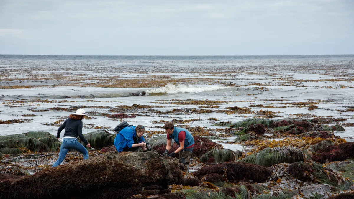 Oceans | Natural History Museums of Los Angeles County