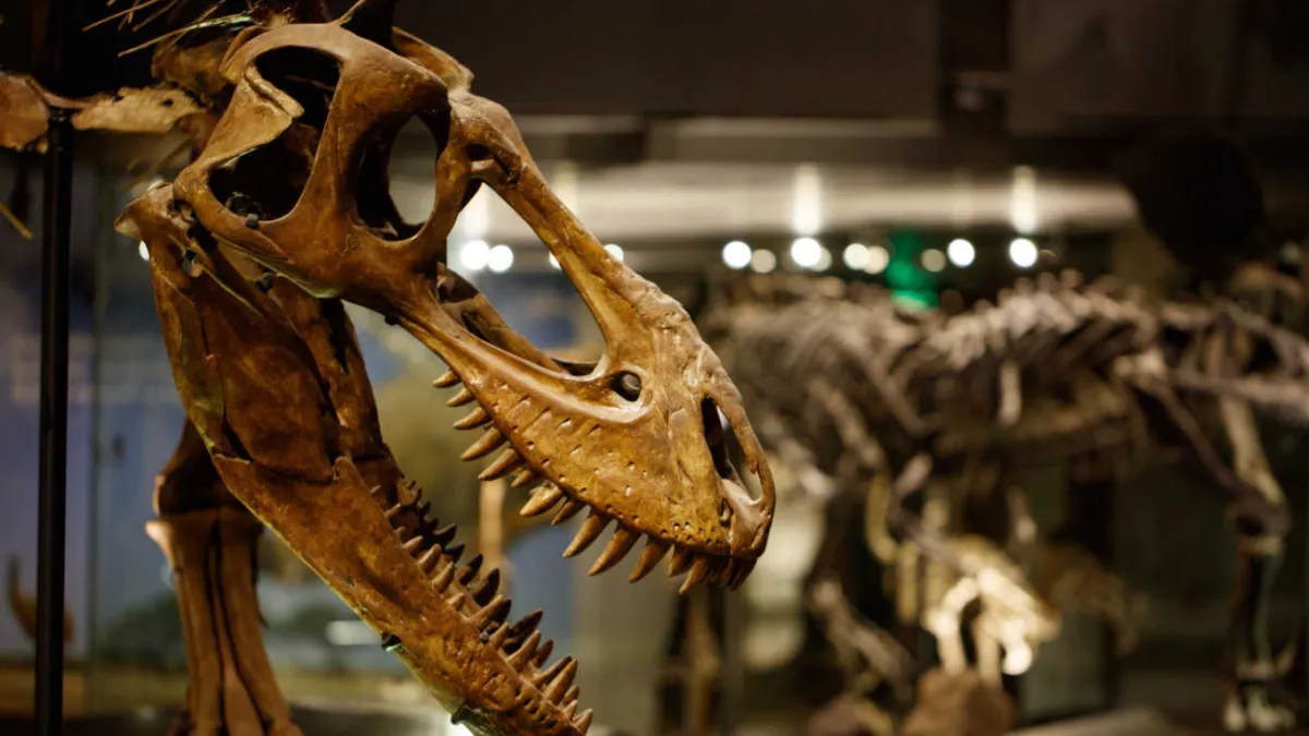 How to Grow a T. rex | Natural History Museums of Los Angeles County