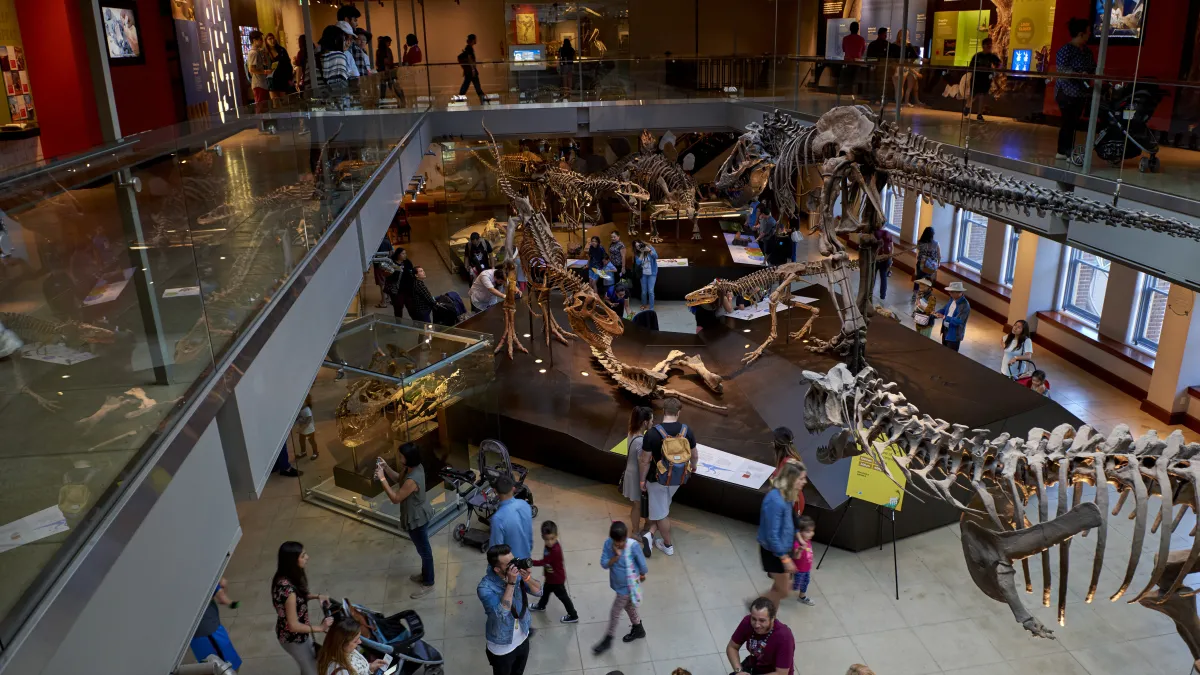 Dino Hall Scavenger Hunt | Natural History Museums of Los Angeles County