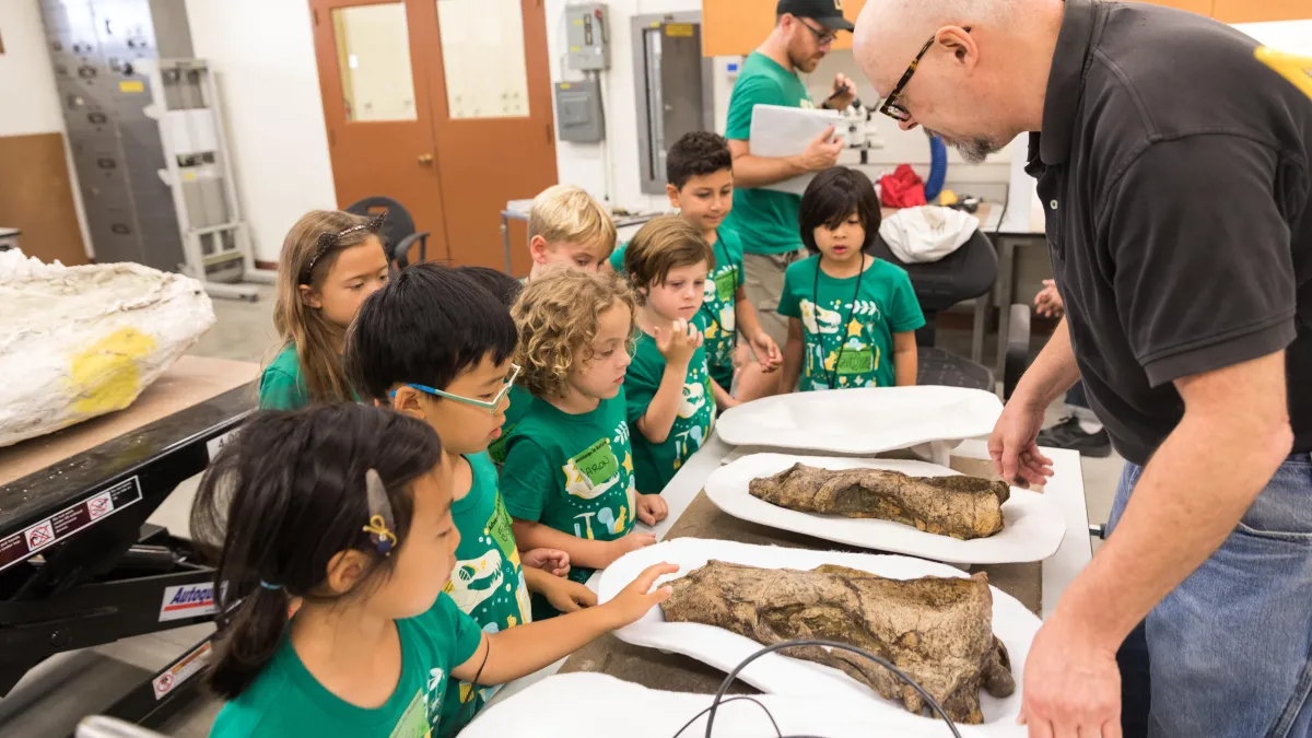 Adventures in Nature Summer Day Camp: Paleo Quest | Natural History ...