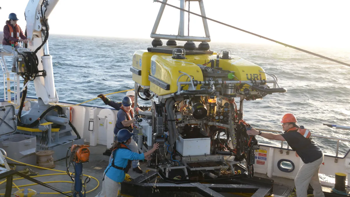 Extended Specimen Lecture Series - Part II: Remote Participation in ...