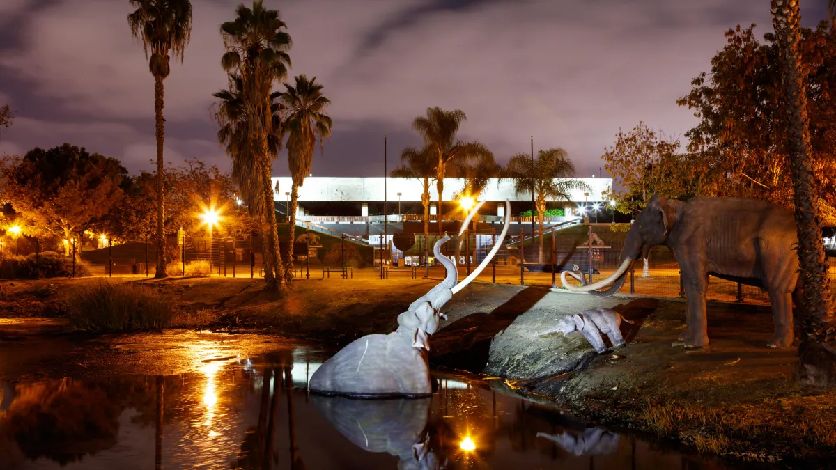 Excavation Scavenger Hunt | Natural History Museums of Los Angeles County