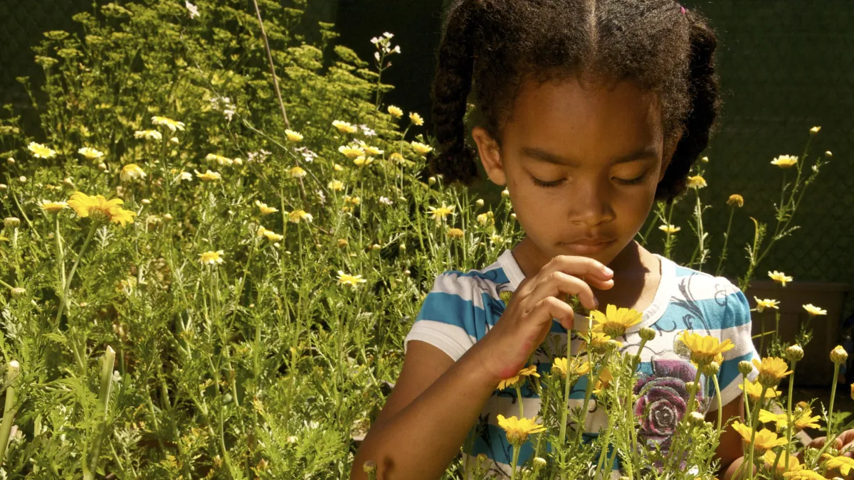 Explore the Wild Outside | Natural History Museums of Los Angeles County