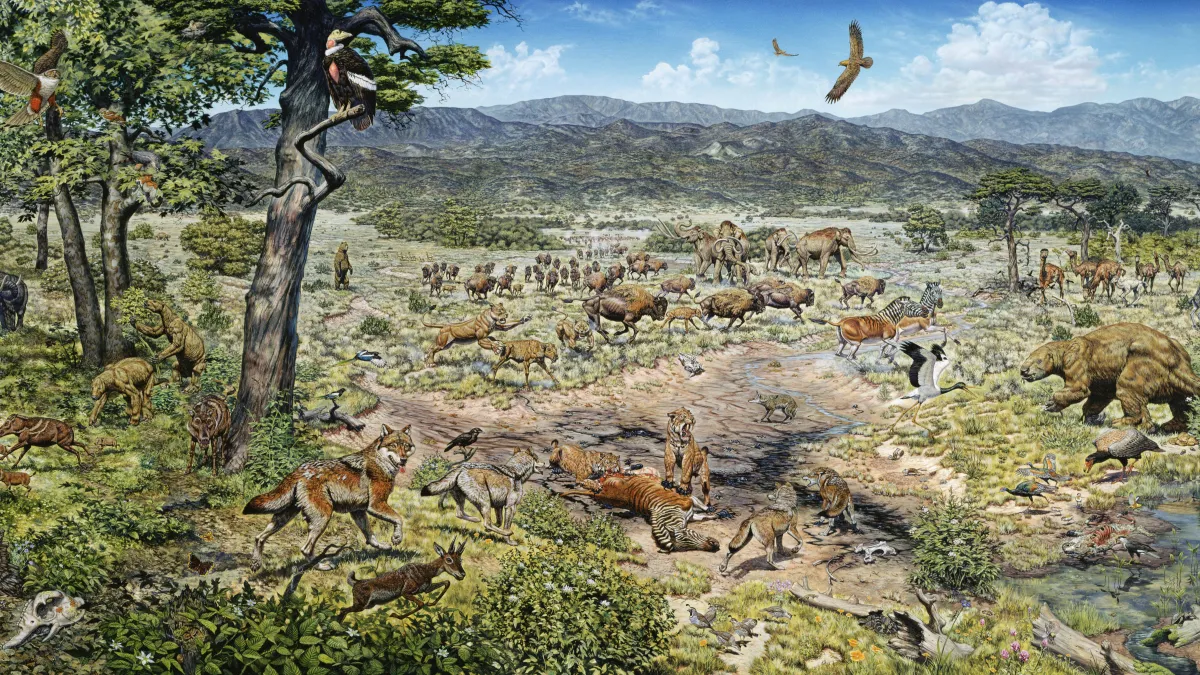 DIY Paleoart | Natural History Museums of Los Angeles County