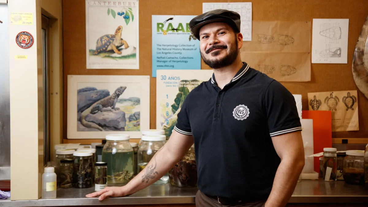 Members Q&A with Nefti Camacho | Natural History Museums of Los Angeles ...