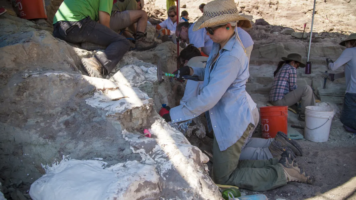 Members Q&A with Dr. Alyssa Bell | Natural History Museums of Los ...