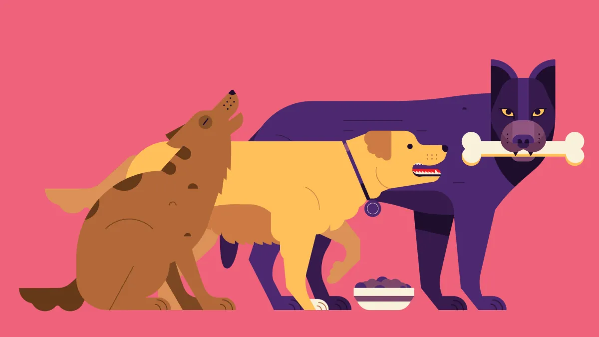 Digging Into Dog Bones | Natural History Museums of Los Angeles County