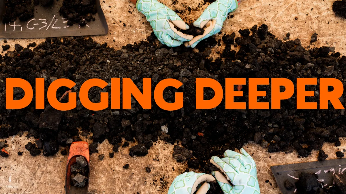 Digging Deeper: Let's Talk about Racoons | Natural History Museums of ...