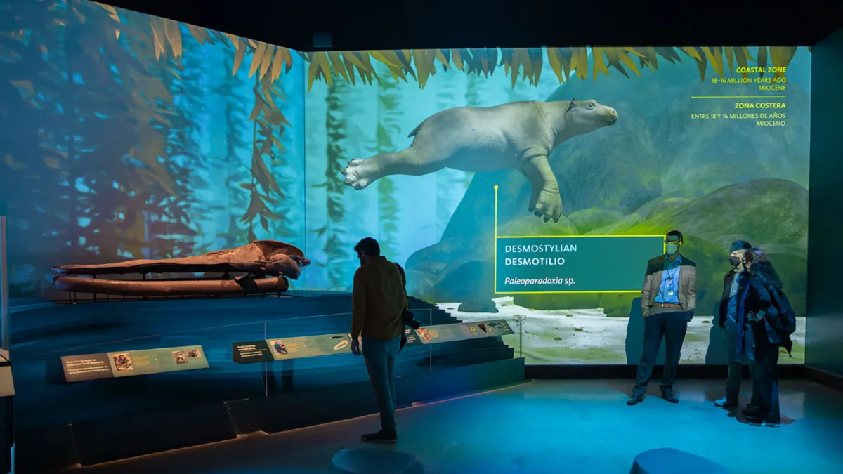 Los Angeles Underwater Scavenger Hunt | Natural History Museums of Los ...