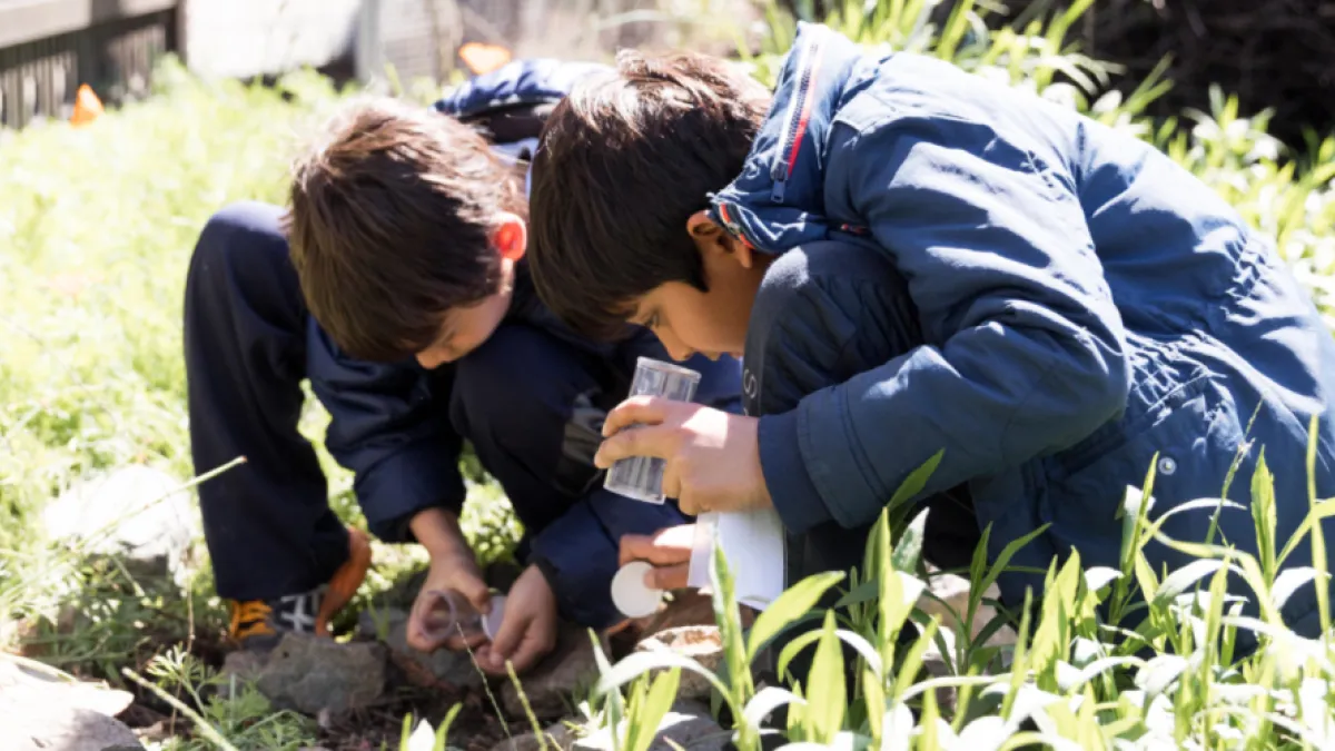 Field Trip Add-Ons | Natural History Museums of Los Angeles County