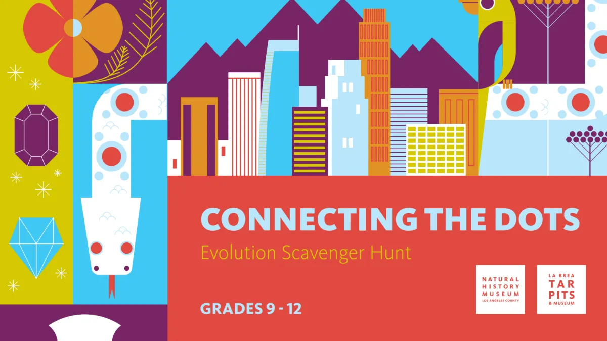 Connecting the Dots: Evolution Scavenger Hunt | Natural History Museums ...