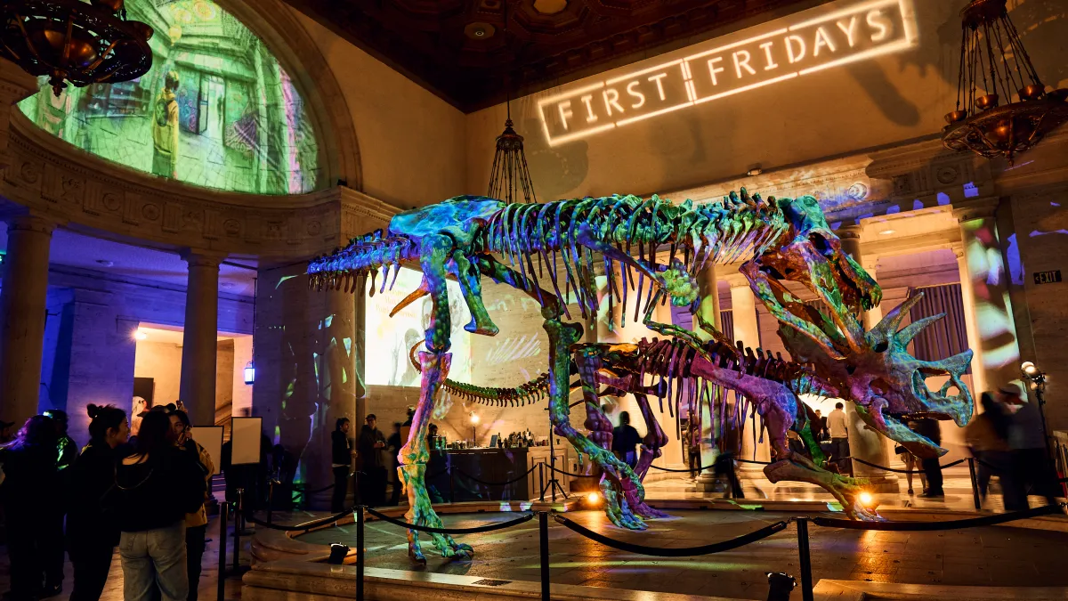 Natural History Museum Announces “Amplified,” the 2025 First Fridays ...