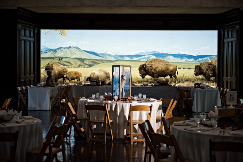 Private Events at NHM | nhmla
